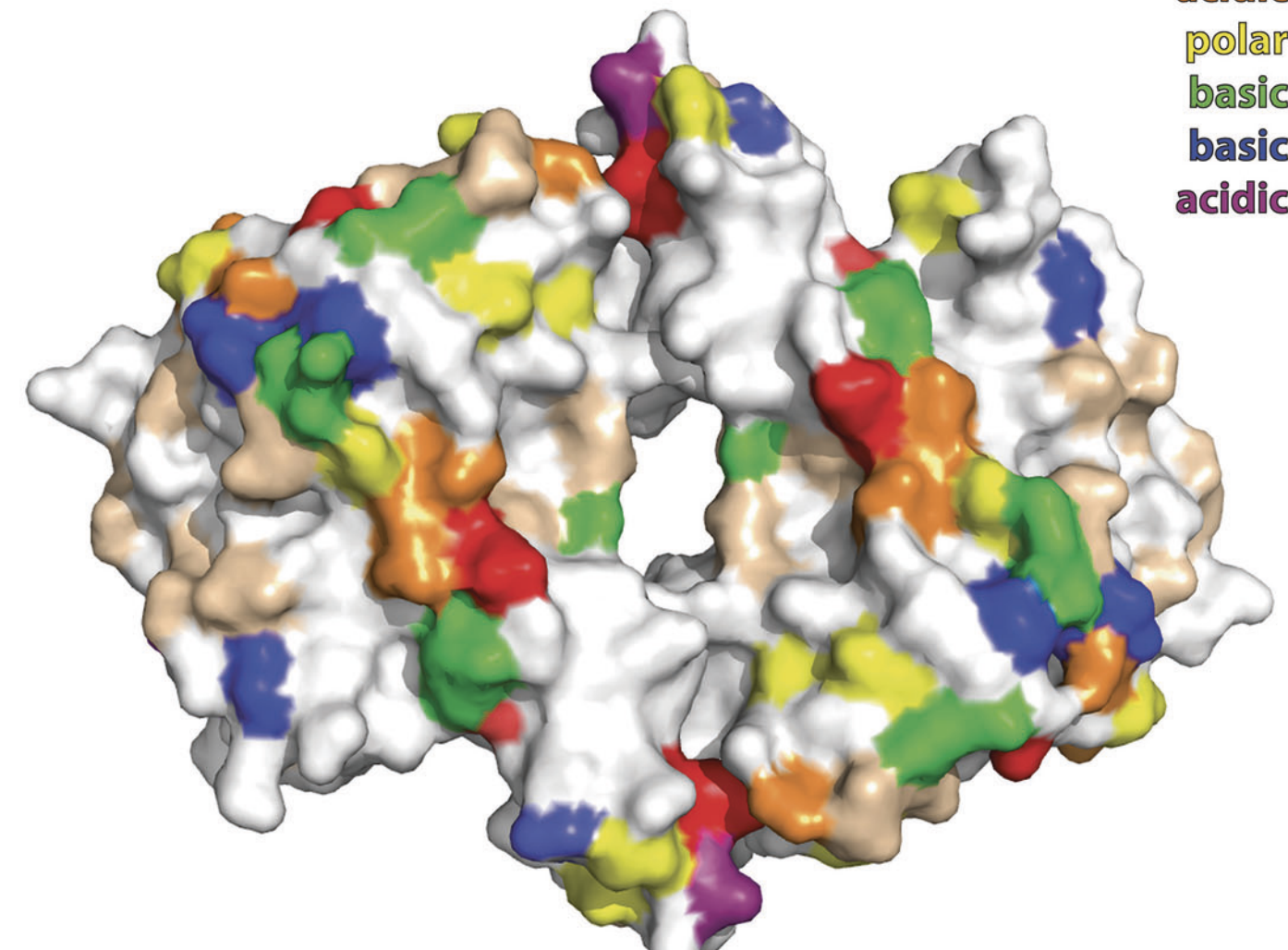 Research — Andersen Lab